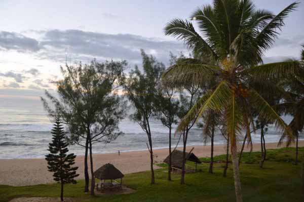 Le Kalanoro de Madagascar devient une star de l'internet